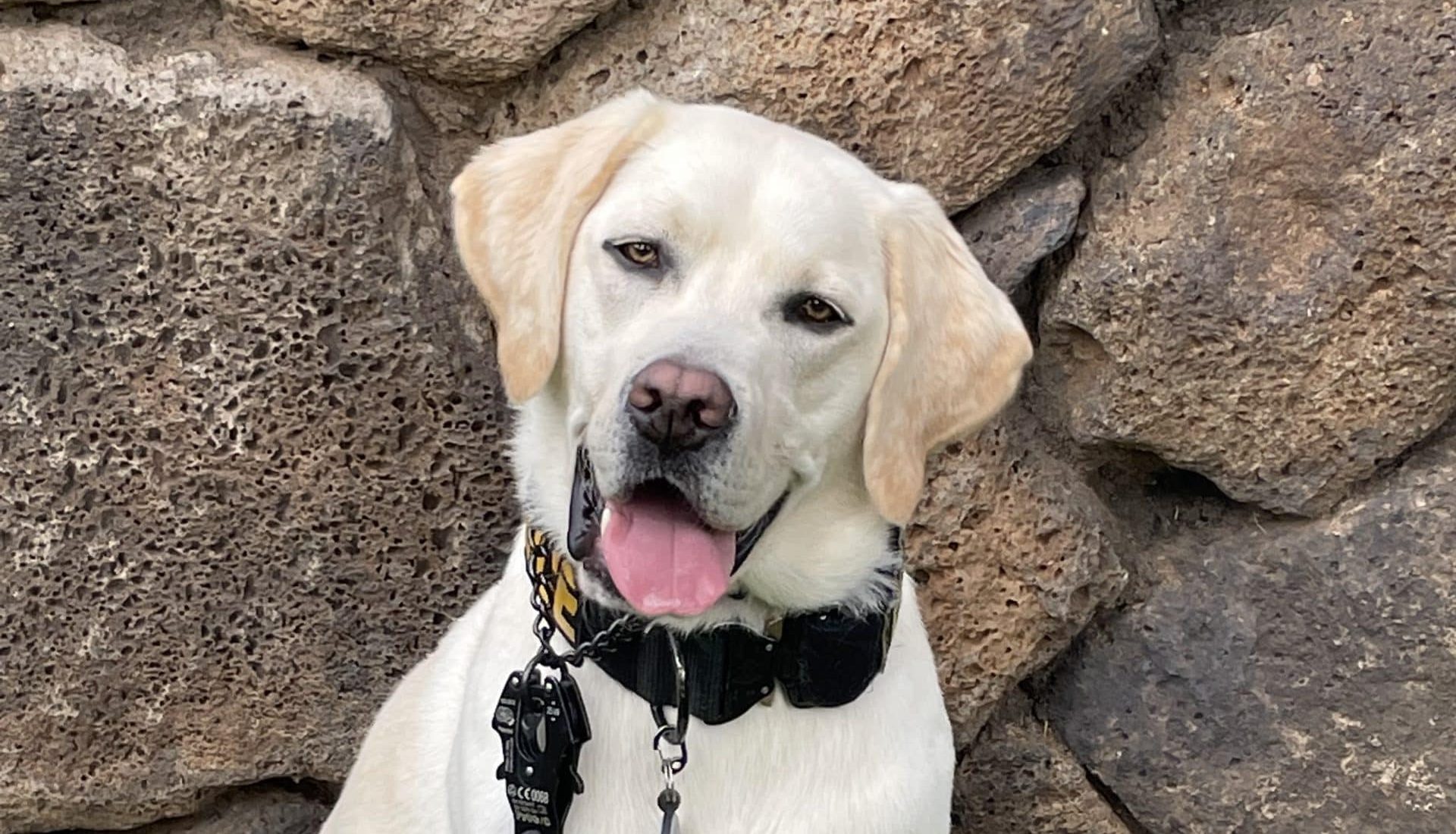 Governor Josh Green, M.D.