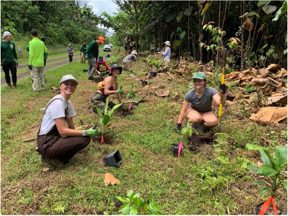 Liko Nā Pilina Seedling Planting with Hawaiʻi Army National Guard ...